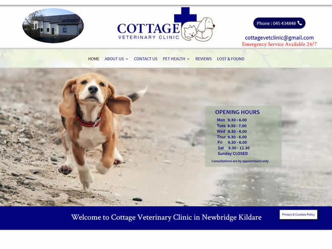 VETWEBSITES | Sustainable Pet Businesses and Vets
